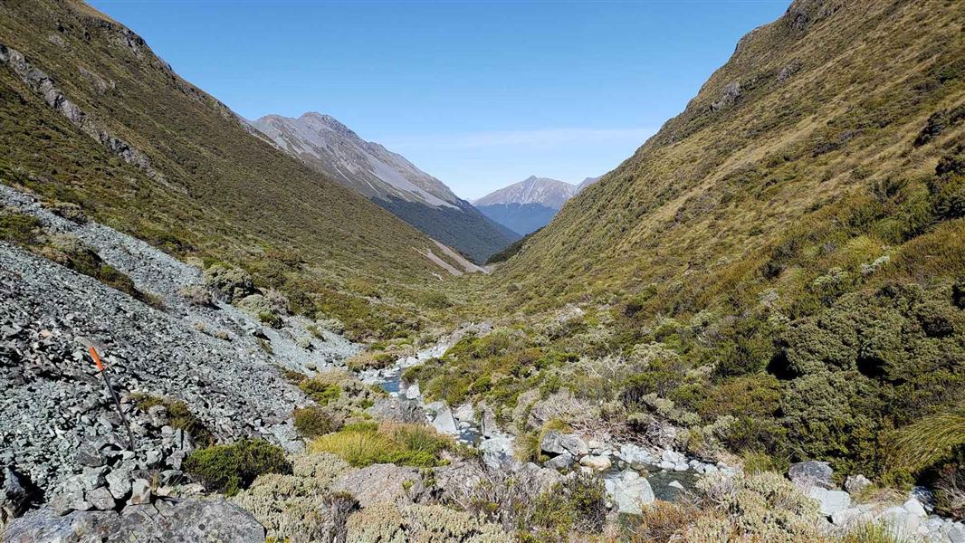 Steele Creek Track: Tramping track in Upper Caples-Greenstone area