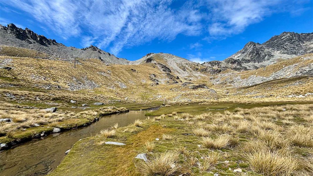 Lake Alta Track: Remarkables Conservation Area, Otago region