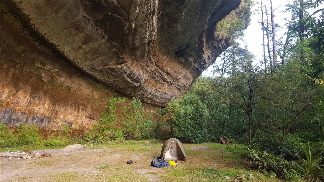 Ballroom Overhang Campsite: Paparoa National Park