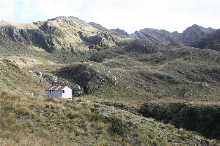 Lake Morgan Hut: Ahaura River & Lake Brunner catchments area, West ...