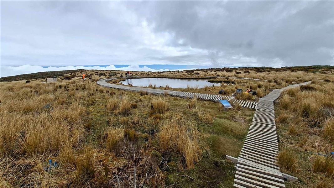 Pouākai boardwalk improvements underway: Media release 18 November 2025