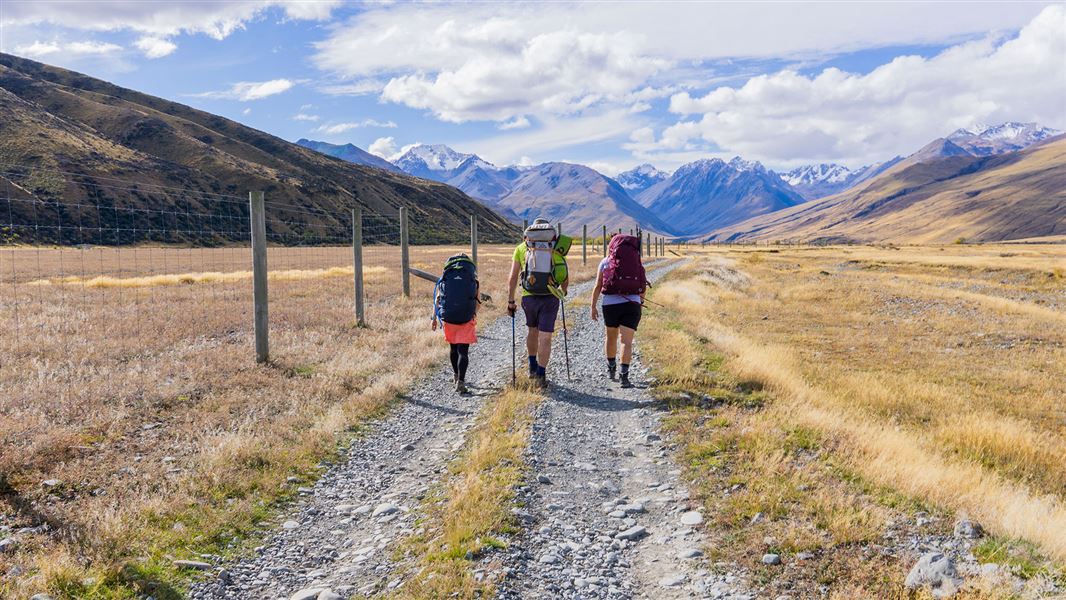 Macaulay Hut Track: Walking and tramping in Te Kahui Kaupeka ...