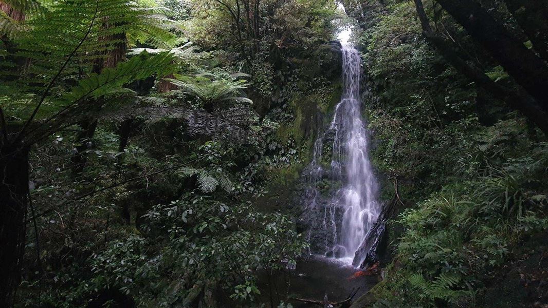 Maude Track to Mangakotukutuku Falls: Te Papa-Kura-o-Taranaki, Taranaki ...