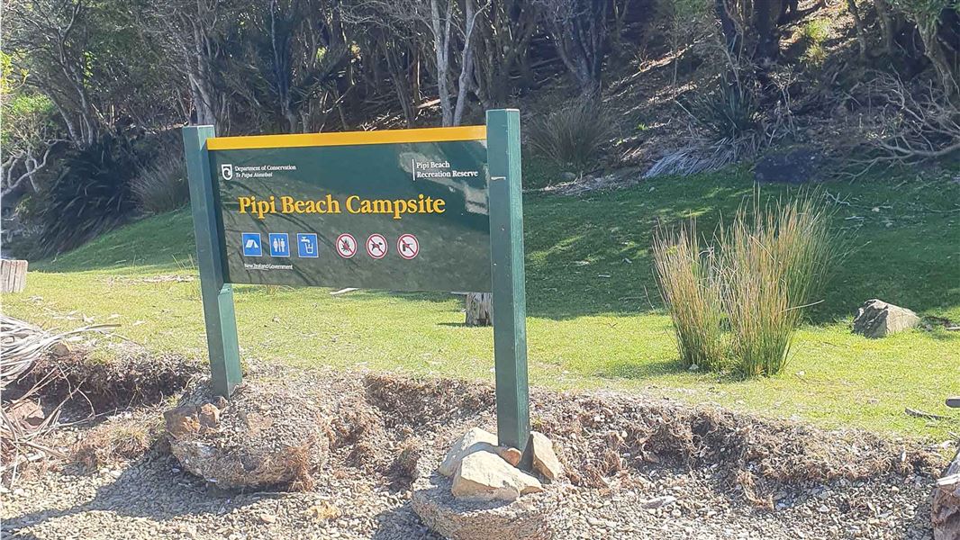 Pipi Beach conservation campsite: Pelorus & Kenepuru Sounds area ...