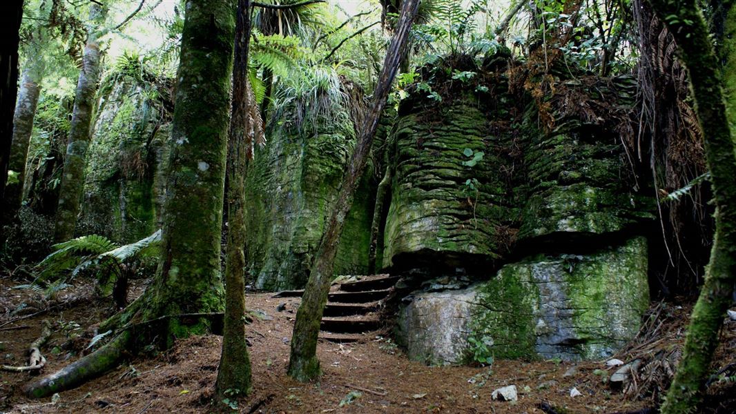 Waitomo Walkway: Waitomo area, Waikato region