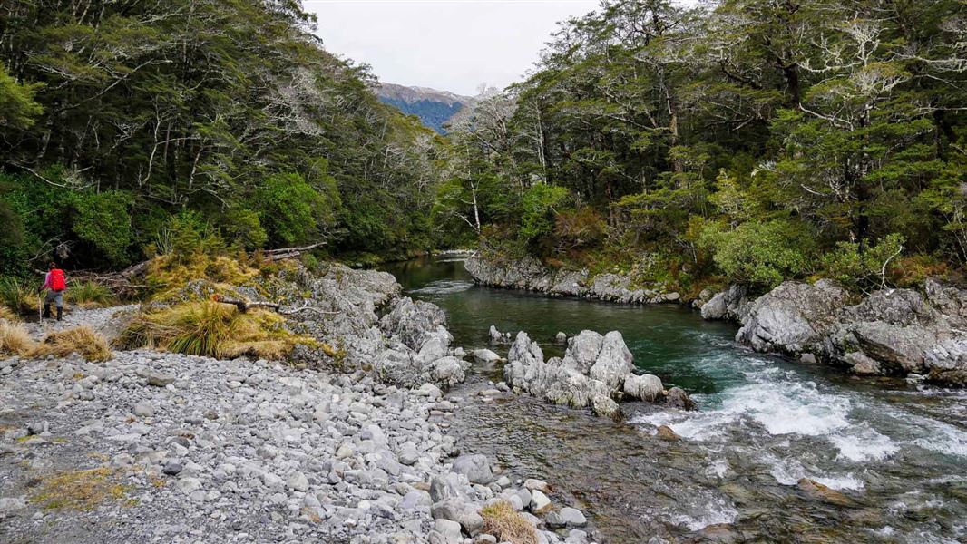 Nina Valley Track: Walking and tramping in Lake Sumner Forest Park ...