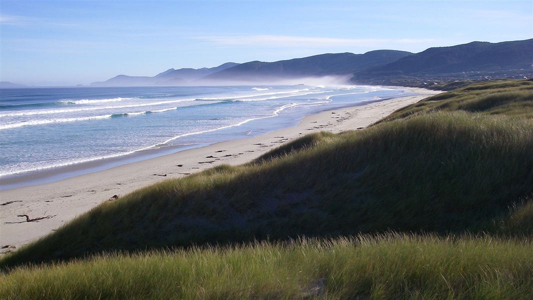 Freshwater Landing to Mason Bay: Rakiura National Park