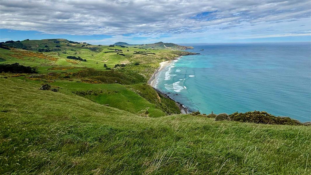 Highcliff Track: Otago Peninsula area, Otago region