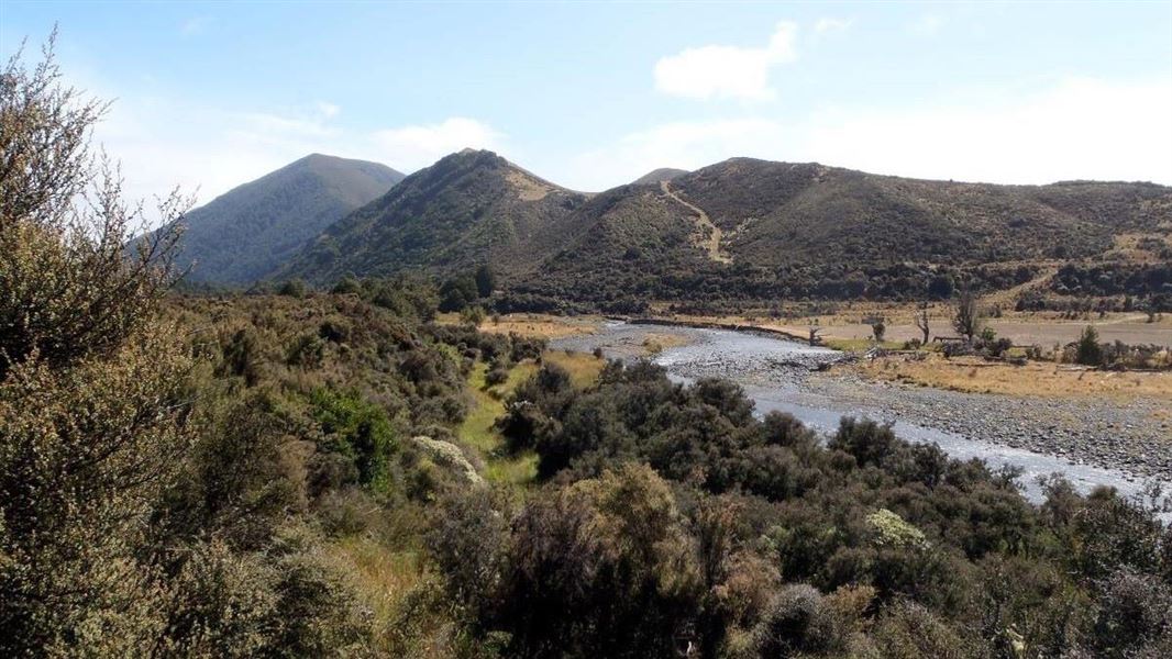 Aparima River Track: Takitimu Conservation Area, Southland region