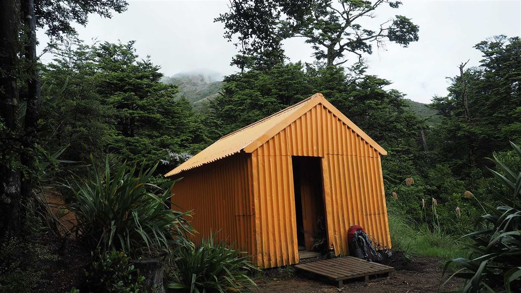 Makahu Saddle Hut: Kaweka Forest Park, Hawke's Bay region