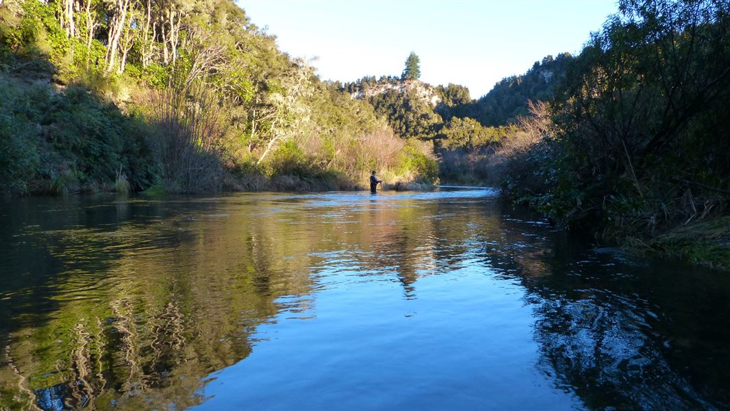 Hinemaiaia river: Fishing the rivers and streams of the Taupo Trout Fishery