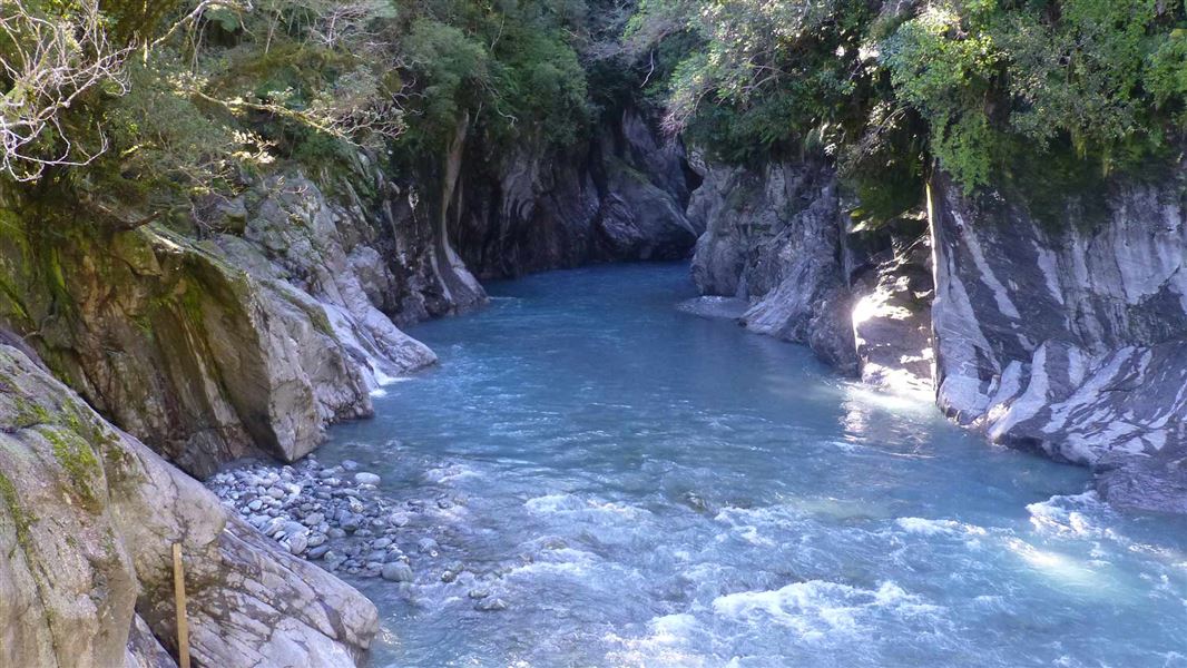 Callery Gorge Walk: Westland Tai Poutini National Park, West Coast region