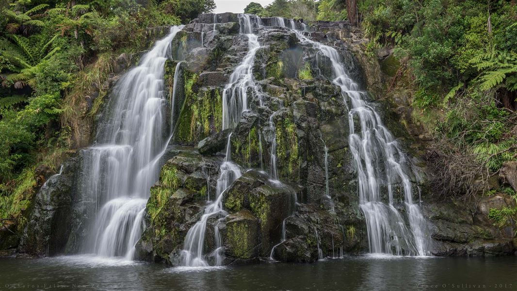 Owharoa Falls Track: Karangahake Gorge area