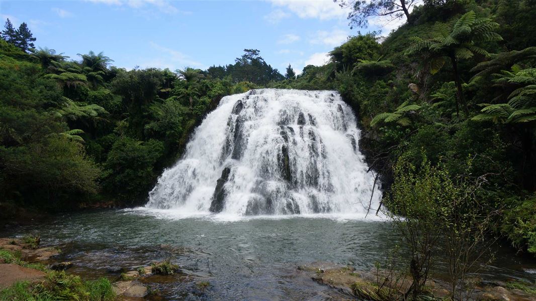 Owharoa Falls Track: Karangahake Gorge area