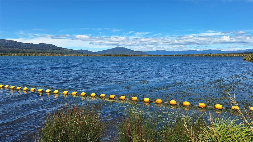Lake Otamangakau summer angling 2024/25