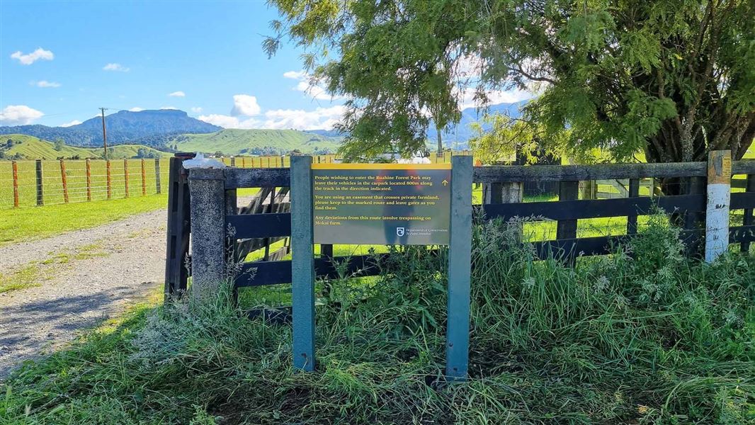 Mokai Road End to Otukota Hut: Things to do in Ruahine Forest Park