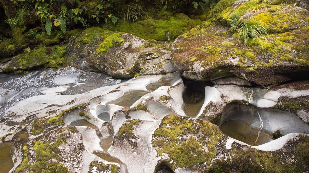 The Chasm Walk: Fiordland National Park, Fiordland region