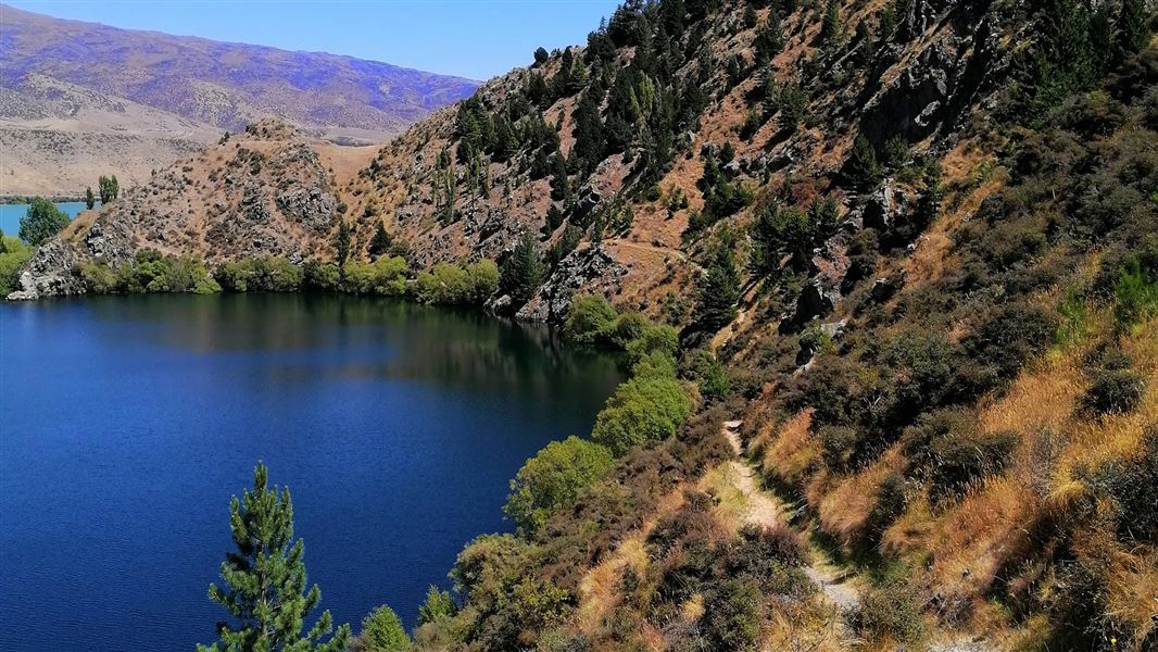 Deep Stream Track: Walking and tramping in Lake Benmore and Lake ...