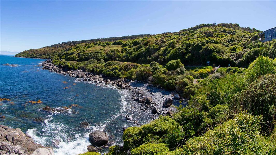 Invercargill area: Places to go in Southland