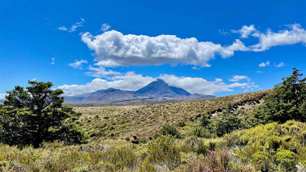 Ridge Track: Short walks in Tongariro National Park