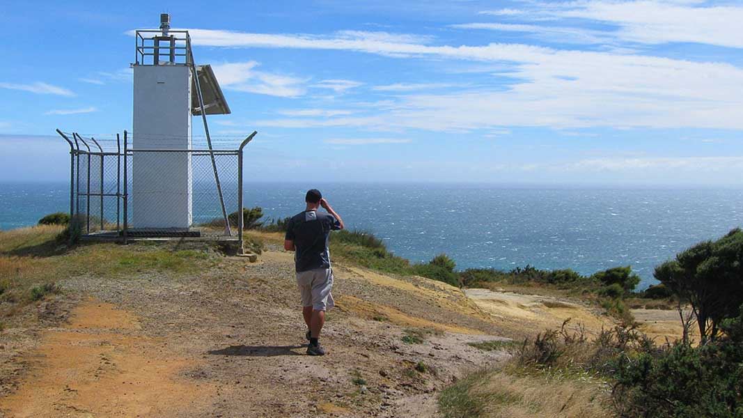 Pillar Point Lighthouse Track: Farewell Spit and Pūponga Farm Park