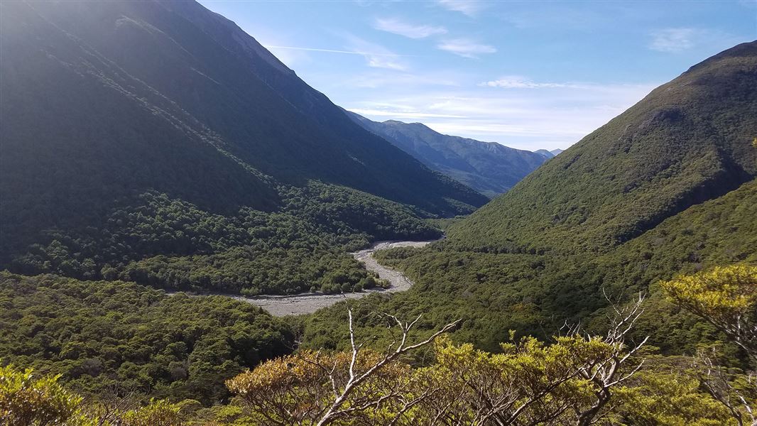 Edwards - Hawdon Route: Walking and tramping in Arthur's Pass National ...