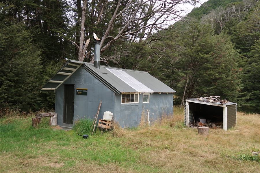 Army Hut: Snowdon Forest Conservation Area: Southland region
