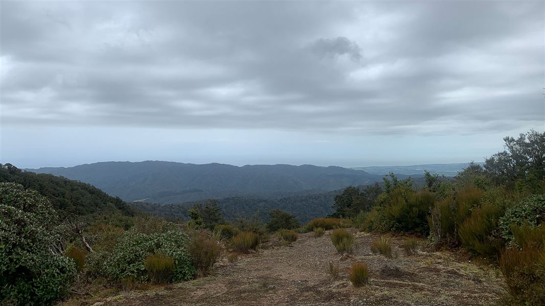 Pukeatua Track: Tararua Forest Park, Kapiti region