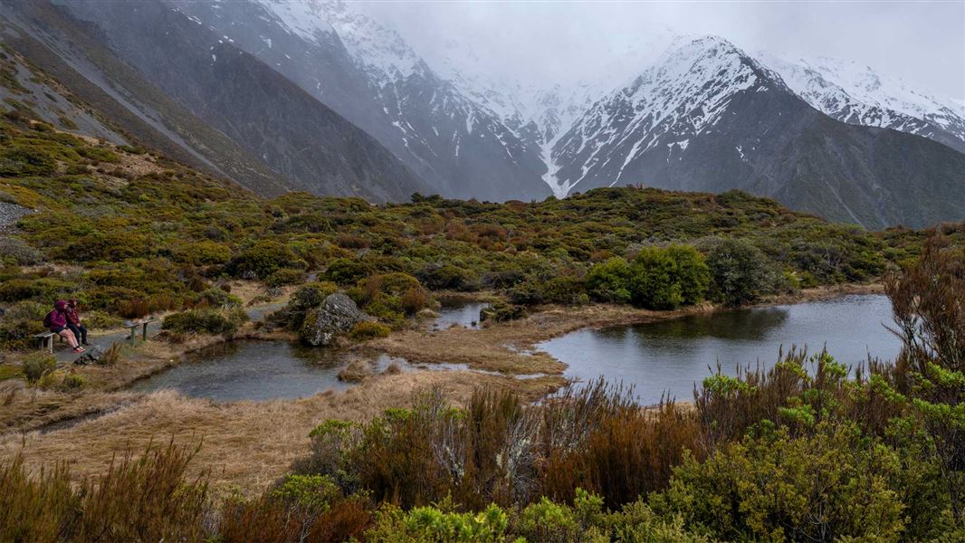 Red Tarns Track: Walking and tramping in Aoraki/Mount Cook National ...