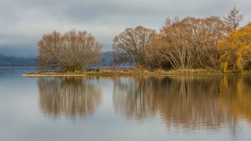 Benmore Peninsula Walk: Lake Benmore and Lake Aviemore area