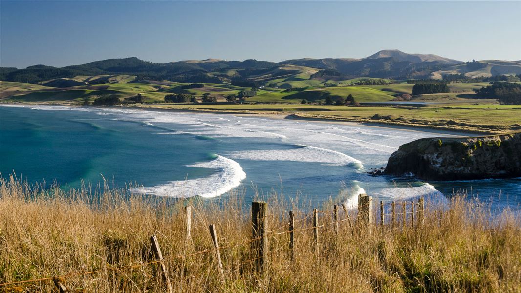 Kātiki Point Walking Track: Moeraki area