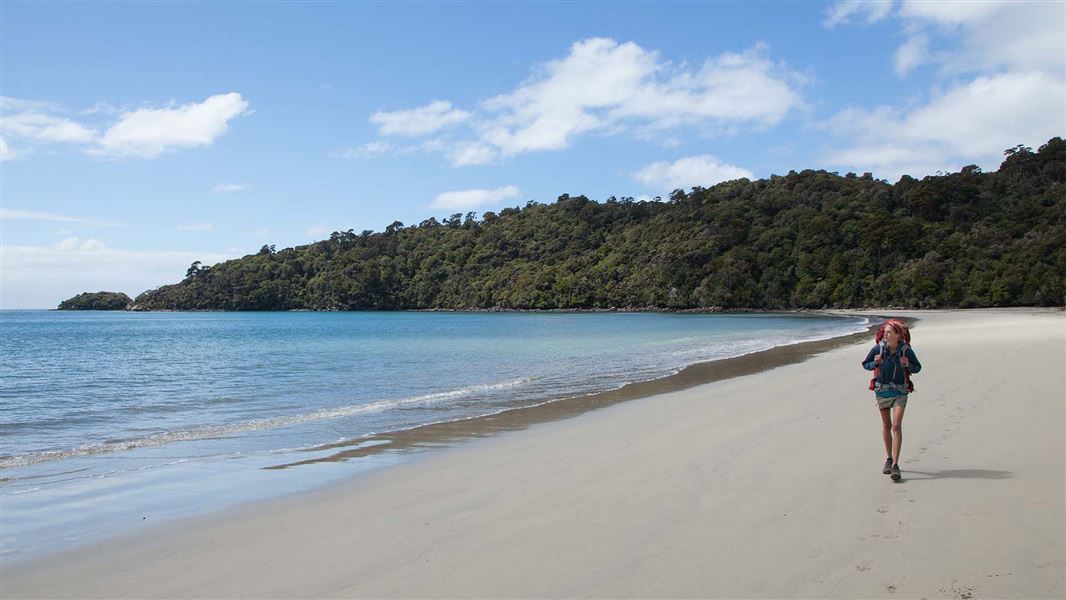 Walking and tramping: things to do