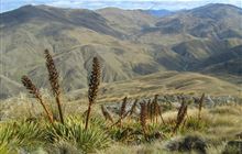 Pisa Conservation Area hunting