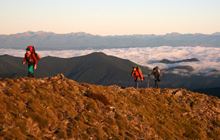 Old Man Hut: Mount Richmond Forest Park, Marlborough region