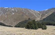 Top Dingle Hut: Hāwea Conservation Park: Otago region